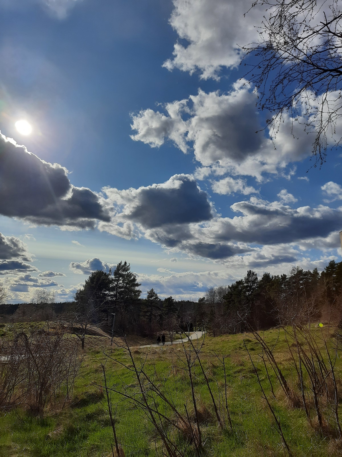 Life in Uppsala – Unexpected Experiences and Little Surprises! – By ...